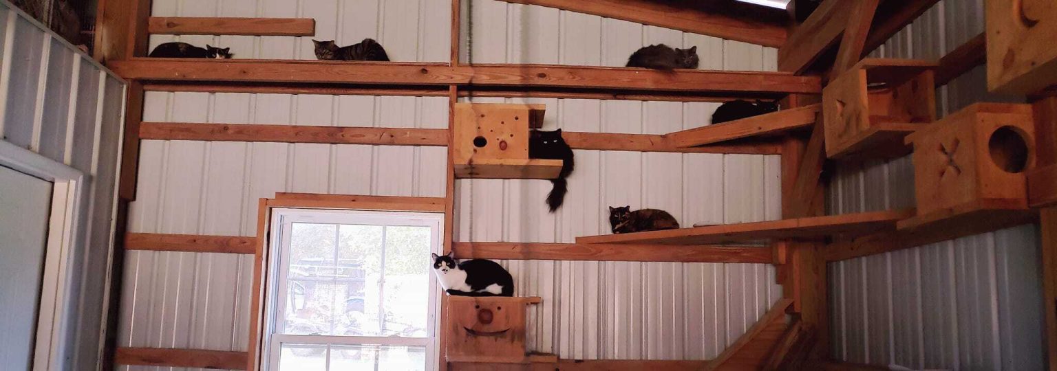 Available Animals - Highland County Humane Society